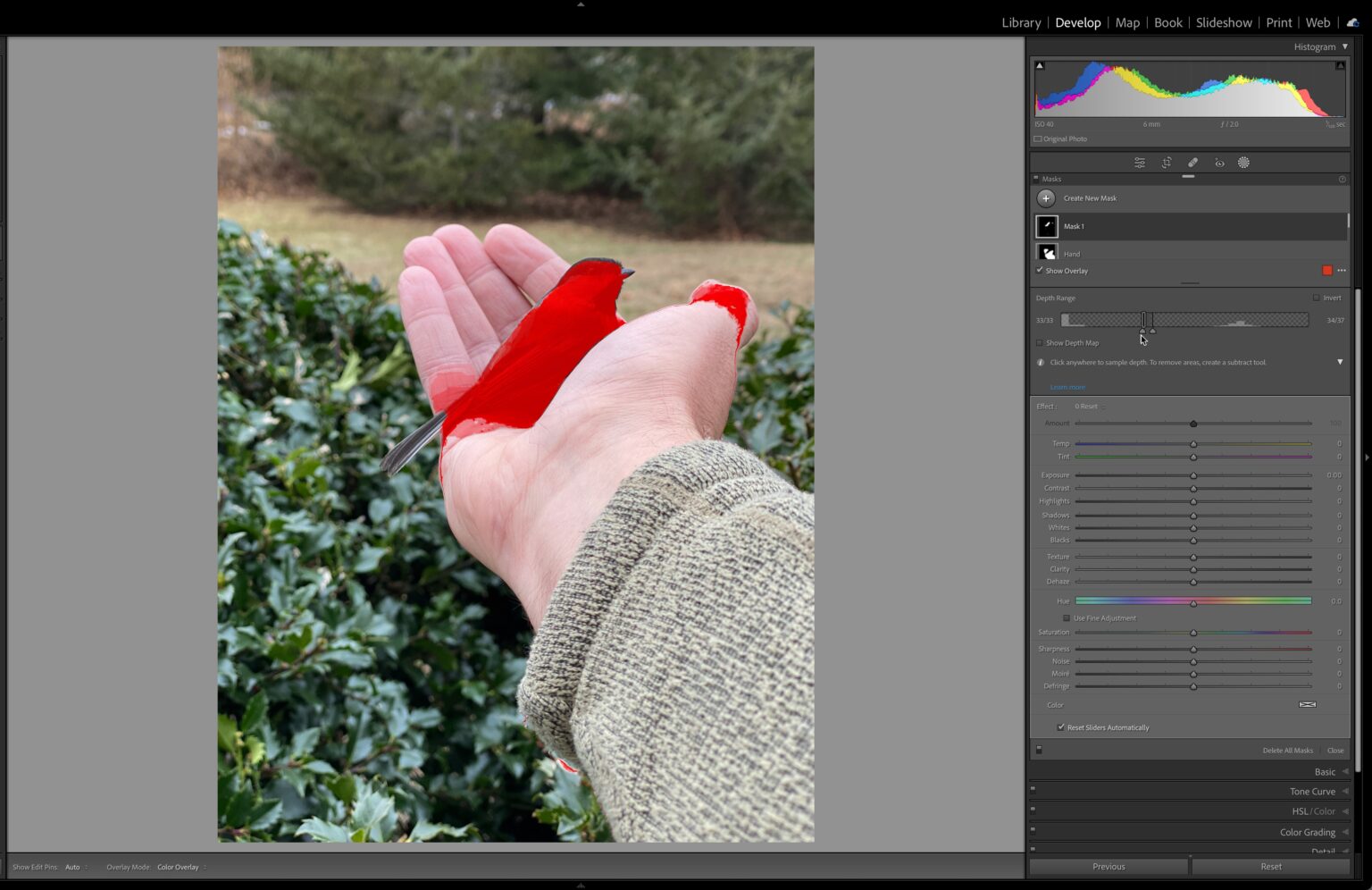 Choosing Objects – Lightroom Editing Tricks Choosing Objects – Lightroom Editing Tricks